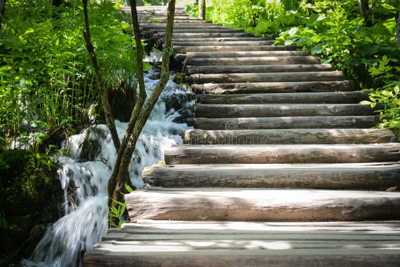 Wooden Hiking Path or Trail Stock Image - Image of environment, hiking ...