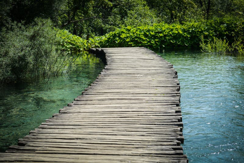 Wooden Hiking Path or Trail Stock Photo - Image of pathway, grass: 37919048