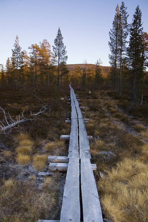 Wooden Hiking Trail through Bog Stock Photo - Image of barren, lapland ...