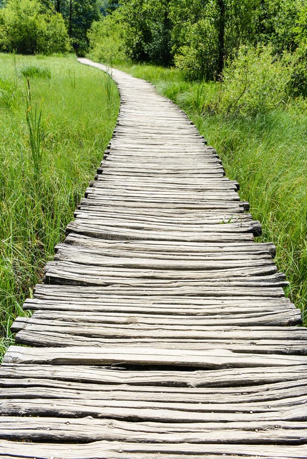 Wooden Hiking Path or Trail Stock Image - Image of landscape, plitvice ...