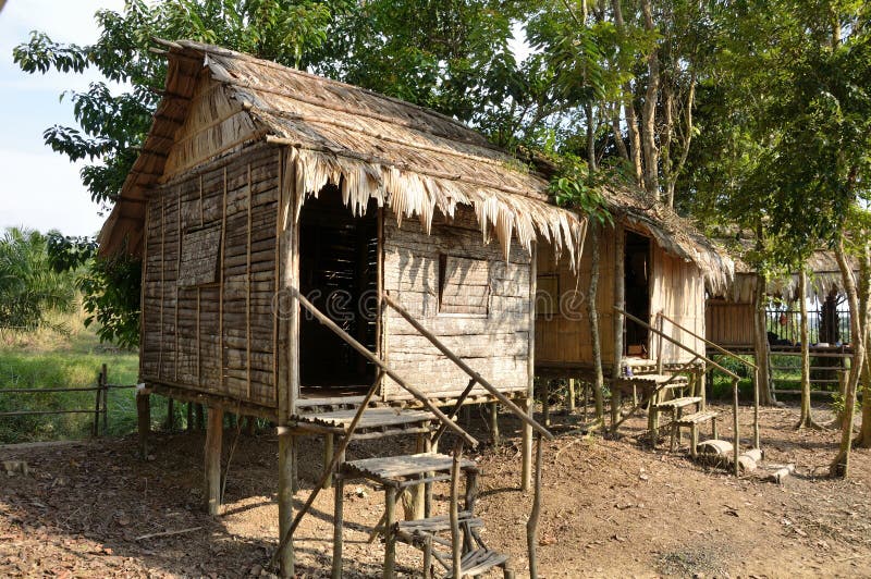 Wooden house stock photo. Image of junglel, green, bushman - 23196978
