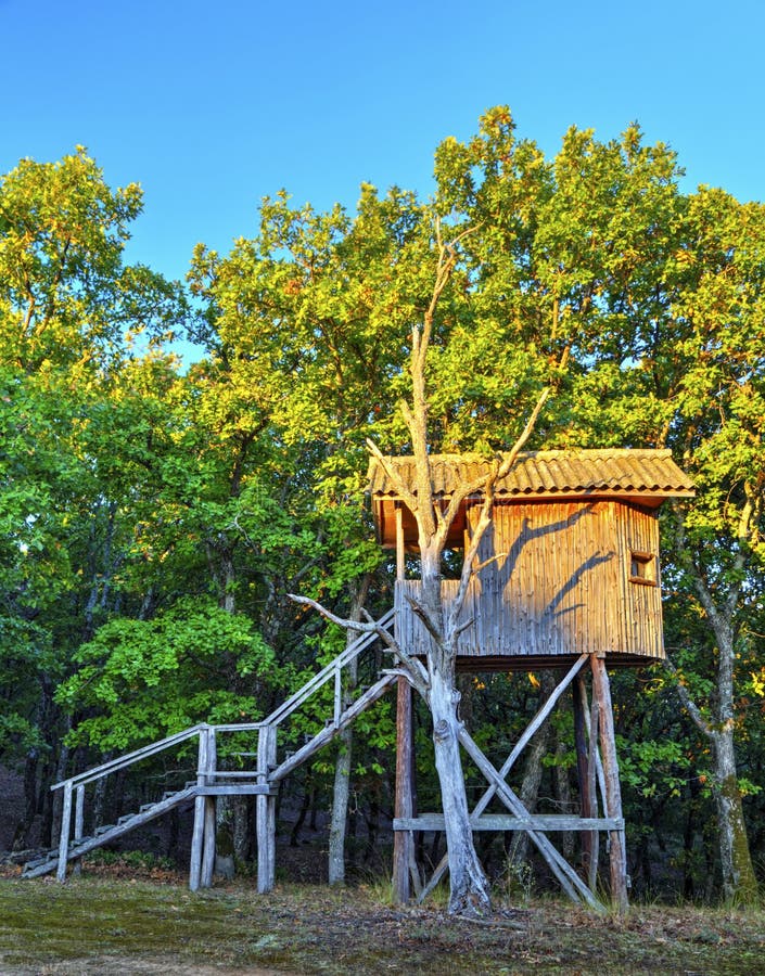 Wooden House in the Branches of the Tree Stock Photo - Image of outdoor ...