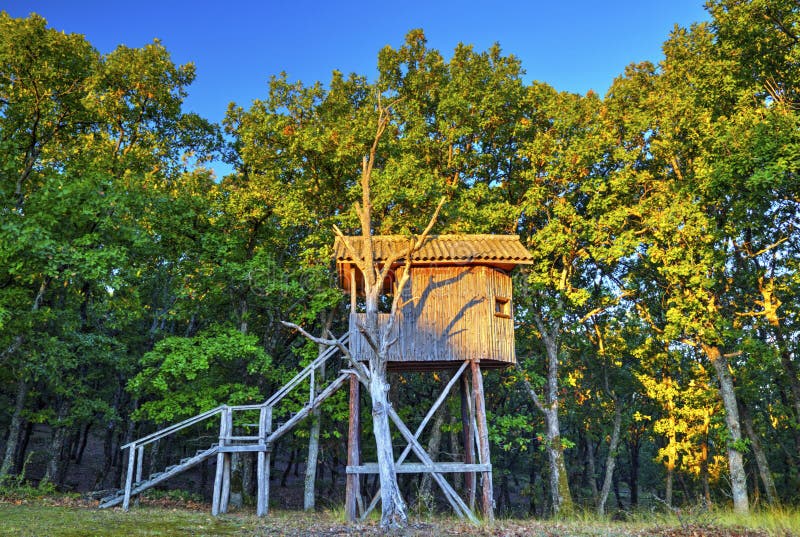 Wooden House in the Branches of the Tree Stock Image - Image of ...