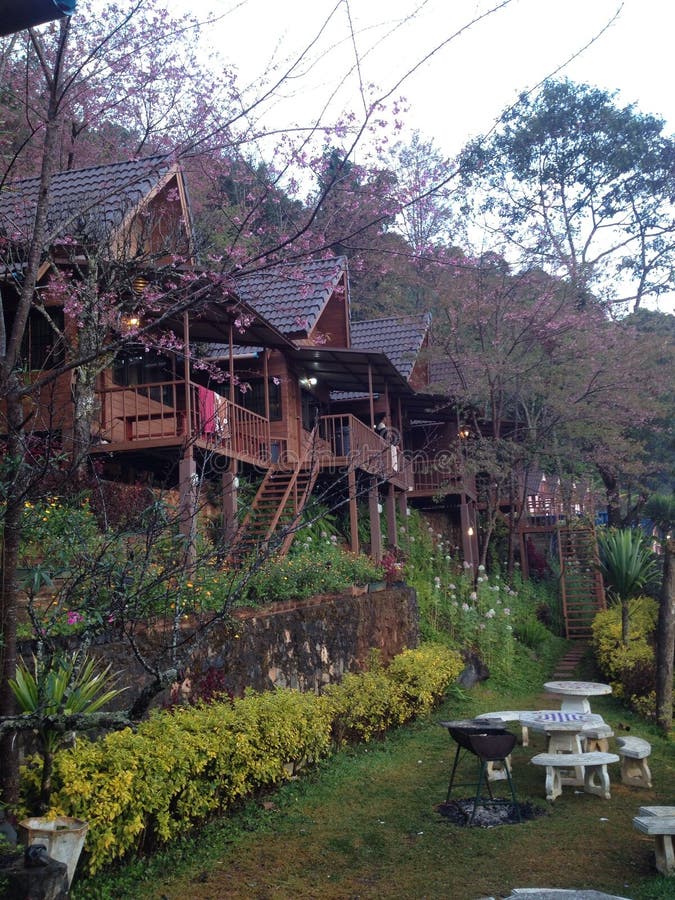 Wooden house stock photo. Image of tree, blossom, wooden - 49000006