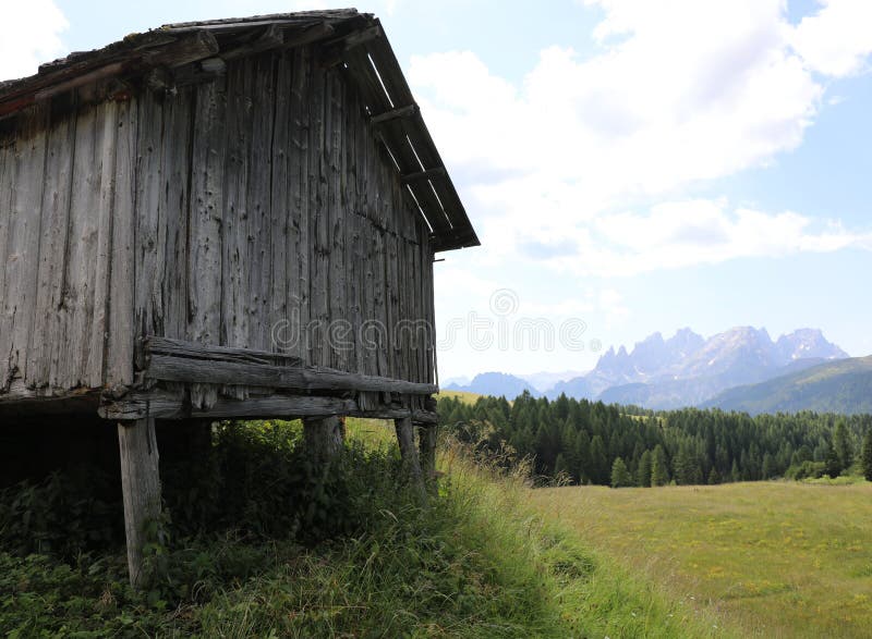 Wooden House Constructed Using a Stilt Technique with Poles Driven into ...