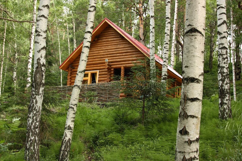 The Wooden House in a Forest Stock Photo - Image of nature, greens ...
