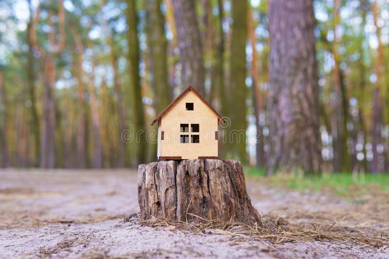 Wooden House Model Placed on a Tree Stump Stock Image - Image of home ...