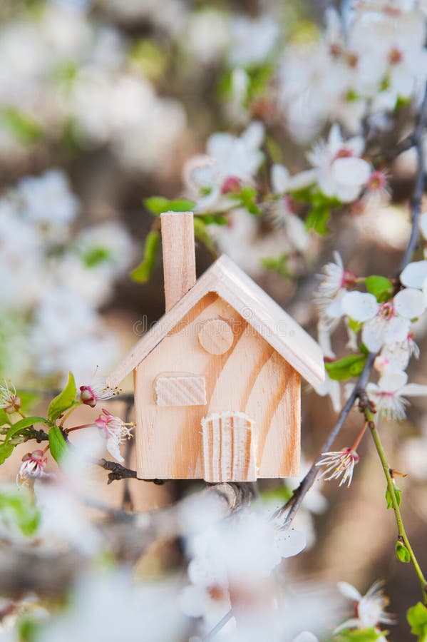 Wooden House Model among Spring Blossoms Stock Photo - Image of ...