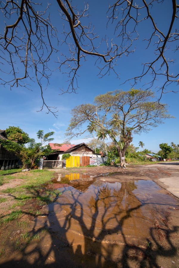 A Wooden House in Reflection with Trees Shadow Stock Image - Image of ...