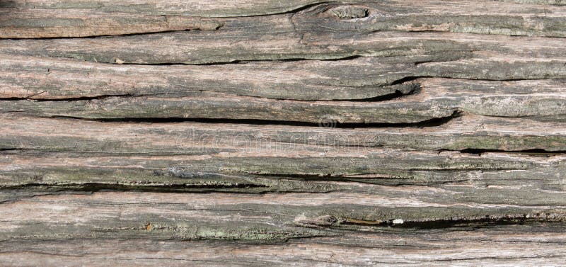 Wooden house Texture stock image. Image of exterior, retro - 31593413