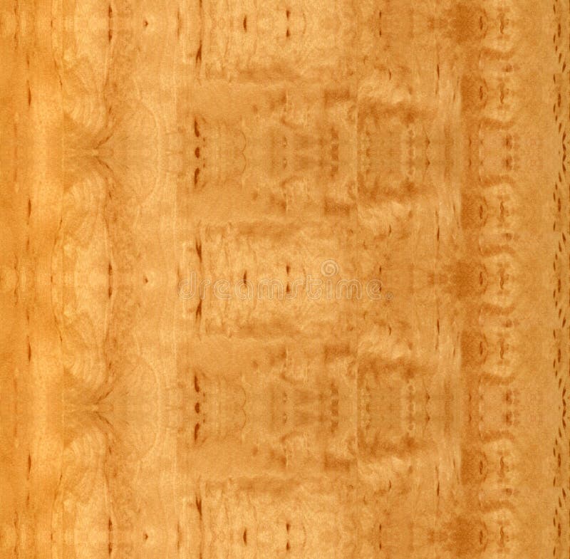 Wooden HQ Sandy Birch Texture Stock Image - Image of abstract, close ...