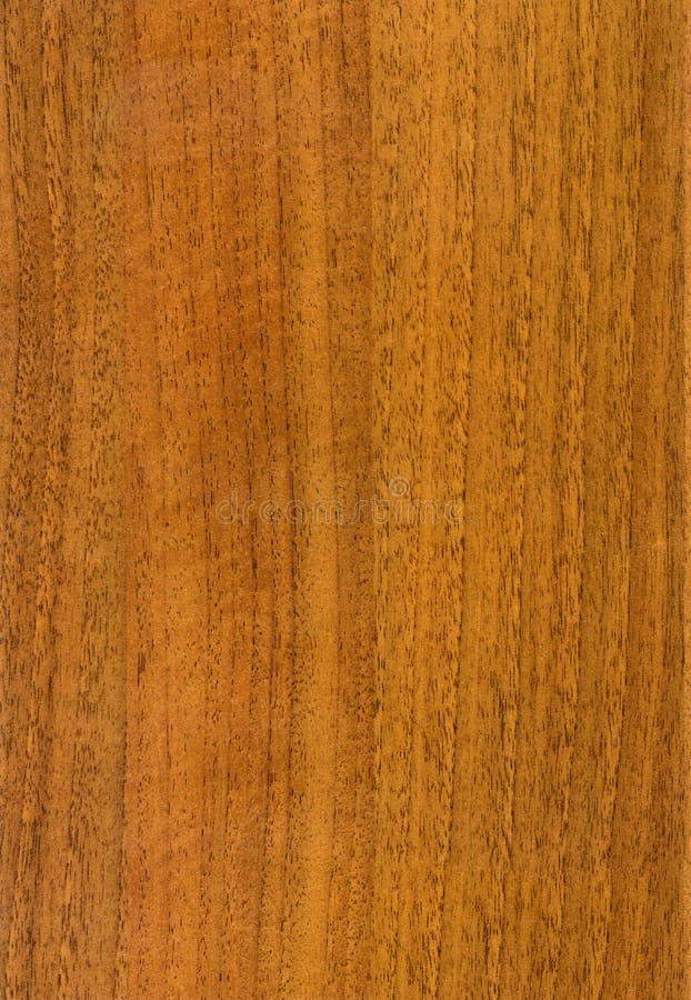 Wooden HQ Walnut texture stock image. Image of lumber - 3497777