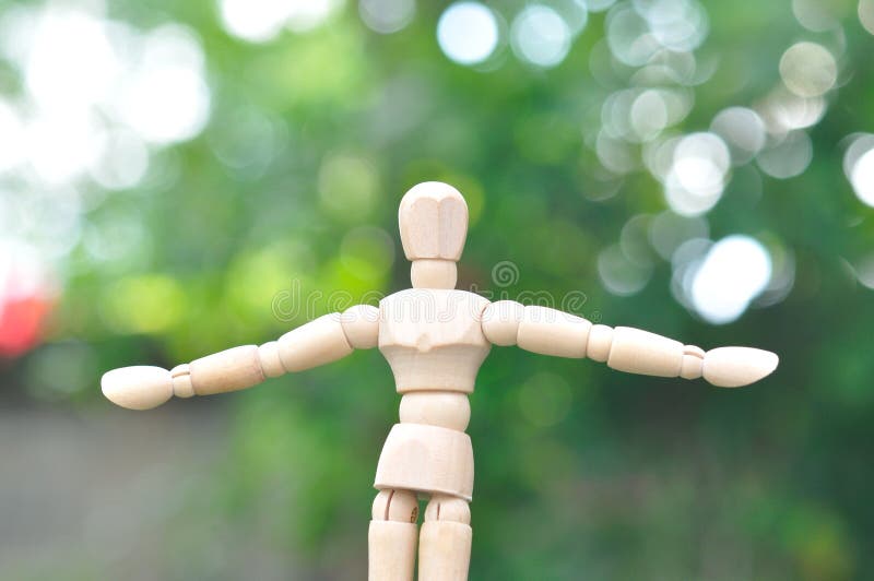 Wooden human model stock photo. Image of body, people - 48517208