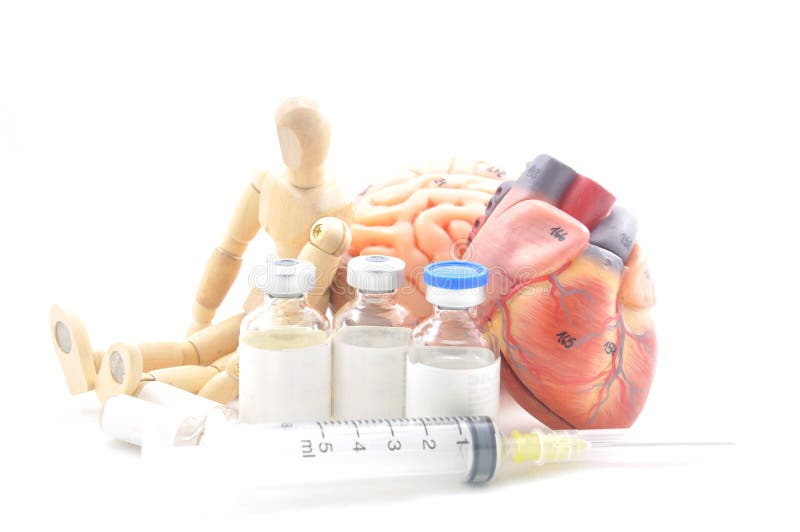 Wooden Human Model and Part of Human Model Stock Image - Image of ...