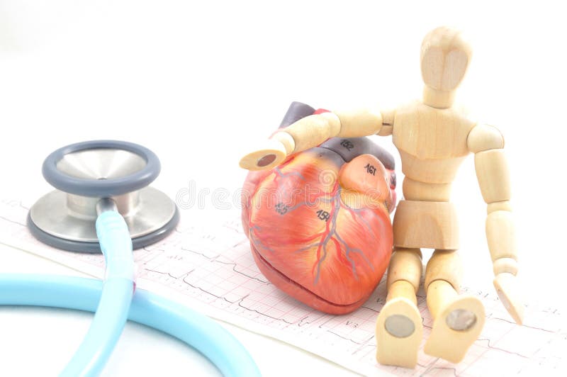 Wooden Human Model and Part of Human Model Stock Image - Image of ...