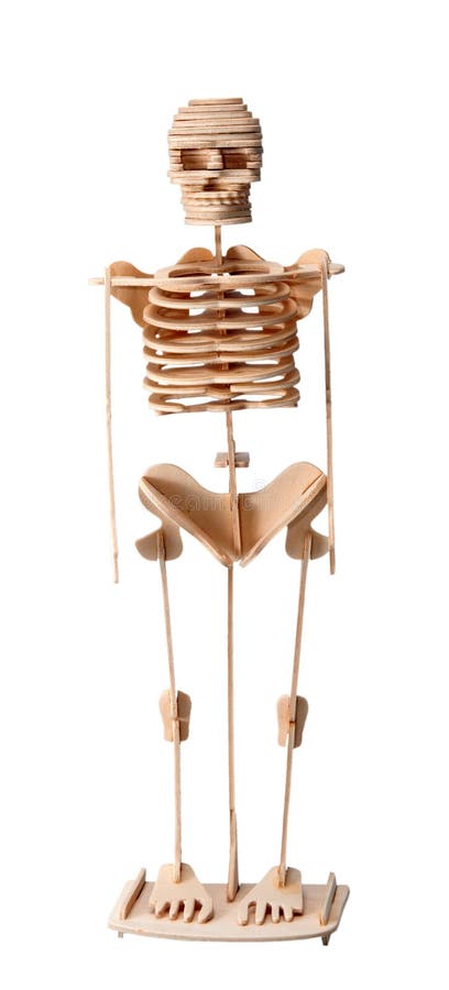 Wooden human skeleton stock image. Image of skeleton - 34566447