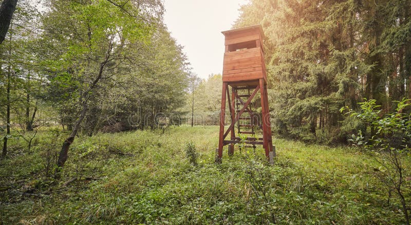 Wooden Hunting Tower in a Forest Stock Image - Image of fall, forest ...