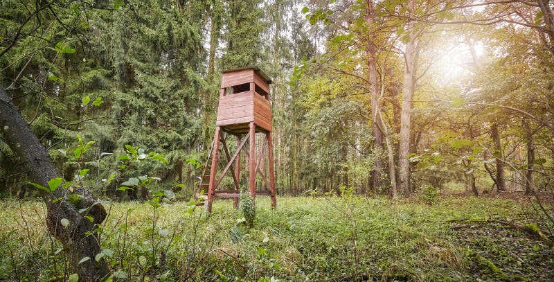 Wooden Hunting Tower in a Forest Stock Image - Image of stand ...