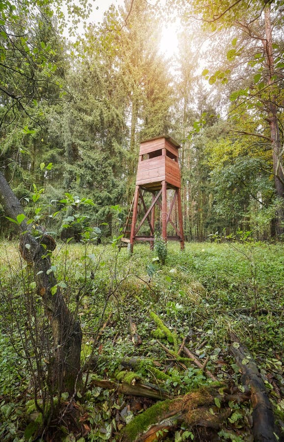 Wooden Hunting Tower in a Forest Stock Photo - Image of sunlight ...