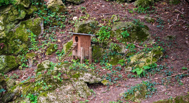 Wooden Hut for Animals in Forest Stock Image - Image of wooden, nature ...
