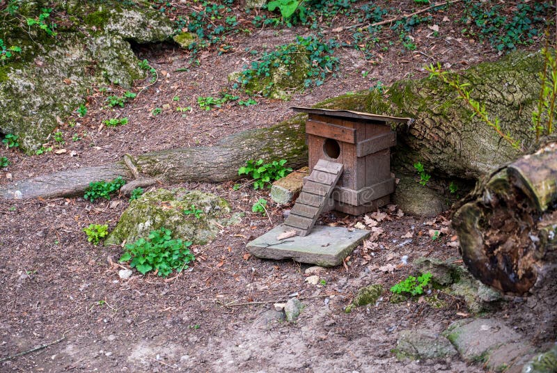 Wooden Hut for Animals in Forest Stock Photo - Image of forest, house ...