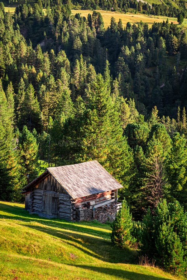 Wooden Hut in Forest at Passo Delle Erbe, Dolomites Stock Image - Image ...