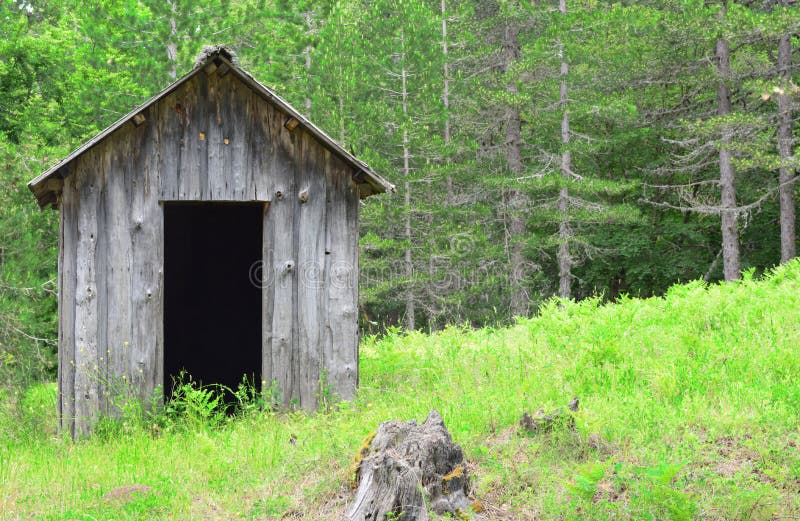 Wooden hut stock image. Image of forest, logcabin, deserted - 32091673
