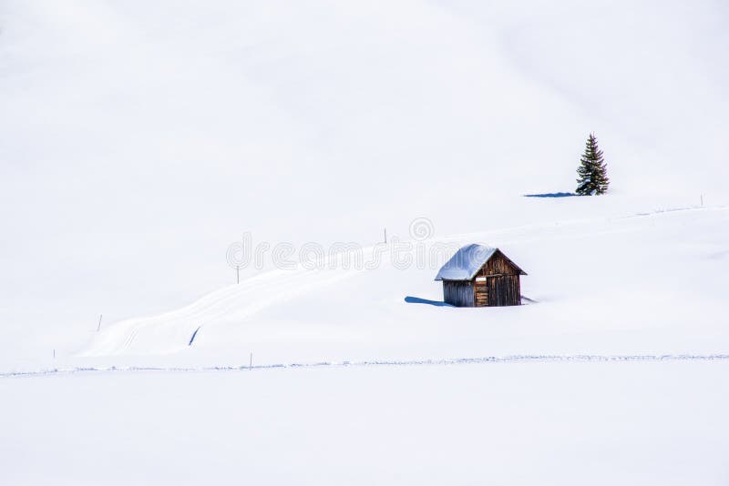 Wooden Hut and Pine in the Snow Stock Photo - Image of mountains, field ...