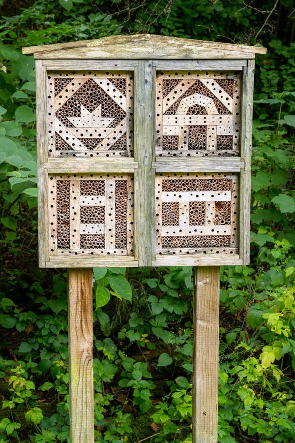Wooden insect hotel stock photo. Image of ecological - 293522618