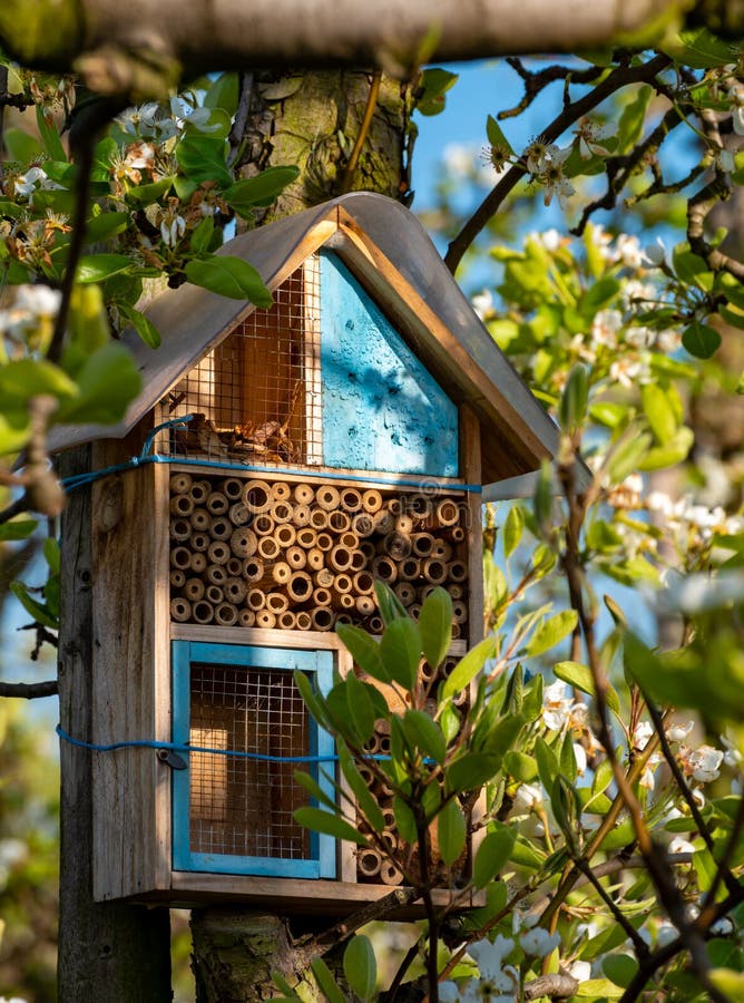Wooden Insect Hotel in Spring Sunny Fruit Trees Orchard Stock Image ...