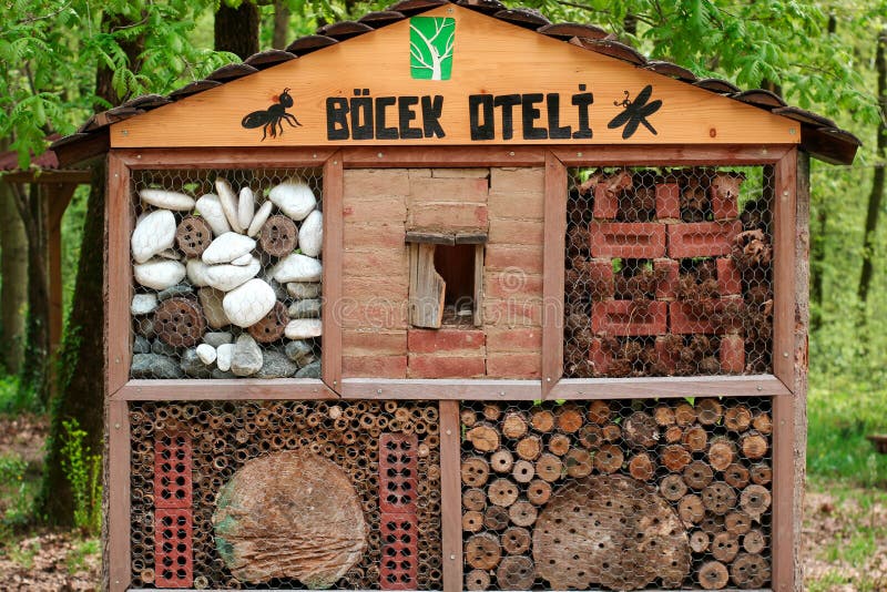 Wooden Insect House in the Forest Stock Image - Image of forest, nature ...