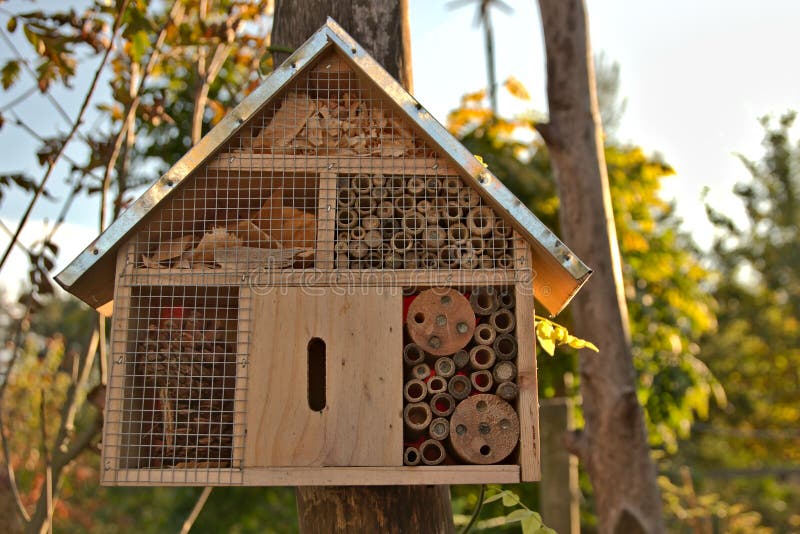 Wooden insect house stock image. Image of shrine, garden - 233557183