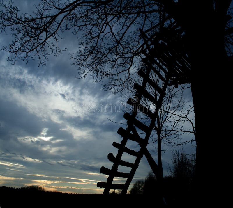 Wooden ladder stock image. Image of ploughed, scenery - 7148053