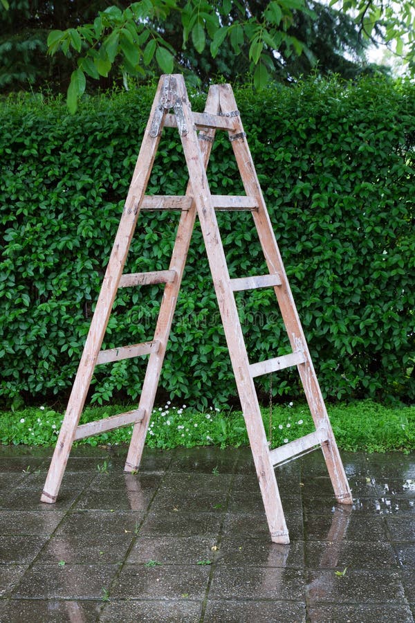 Wooden Ladder on the Backyard Stock Image - Image of reflection, colour ...