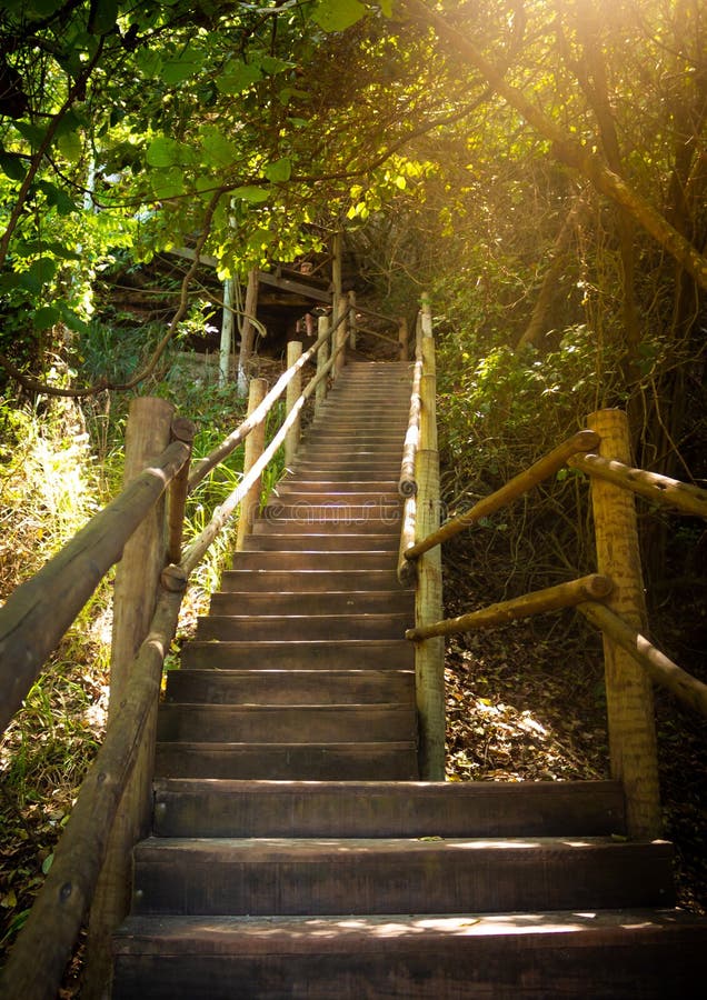 Wooden Ladder in the Middle of the Forest. . Ascent To the Beyond Stock ...