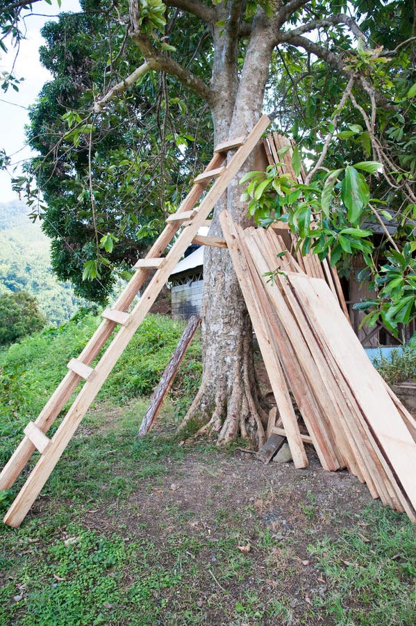 Wooden Ladder stock image. Image of tree, jamaica, cheap - 42315241