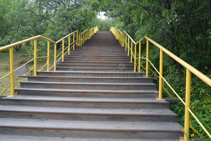 Wooden Ladder with a Yellow Handrail in Park. Bottom View Stock Image ...