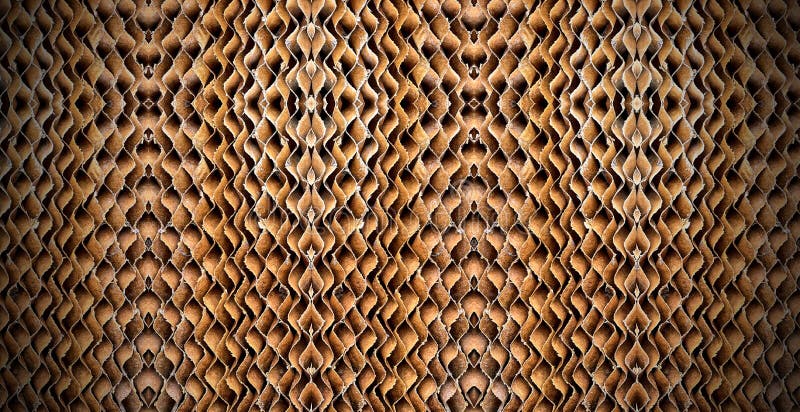 Wooden Layers with Black Dots Making Abstract Background Stock Image ...