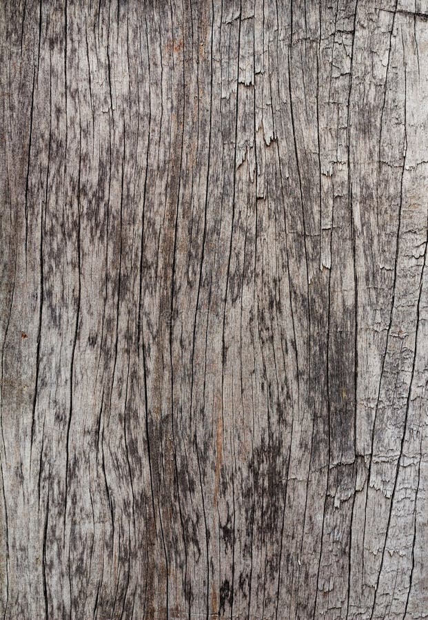 Wooden Line Divides in Two Different Piece Painted Texture with Brush ...