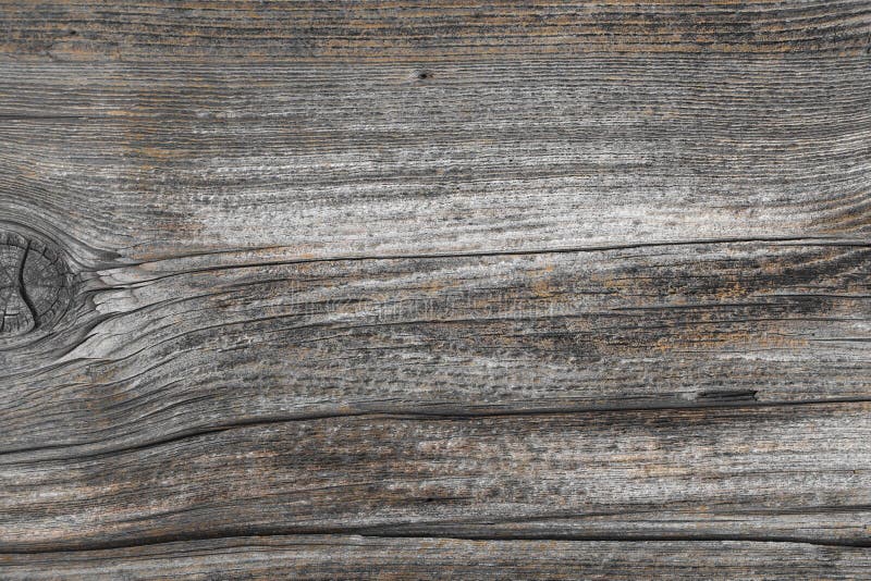Wooden Line Texture. Surface of Wood Texture with Natural Pattern ...
