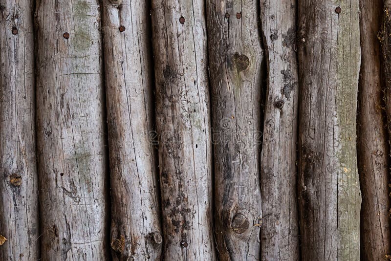 Wooden Log Background Gray and Knotted Vertical Trunk Pattern Stock ...