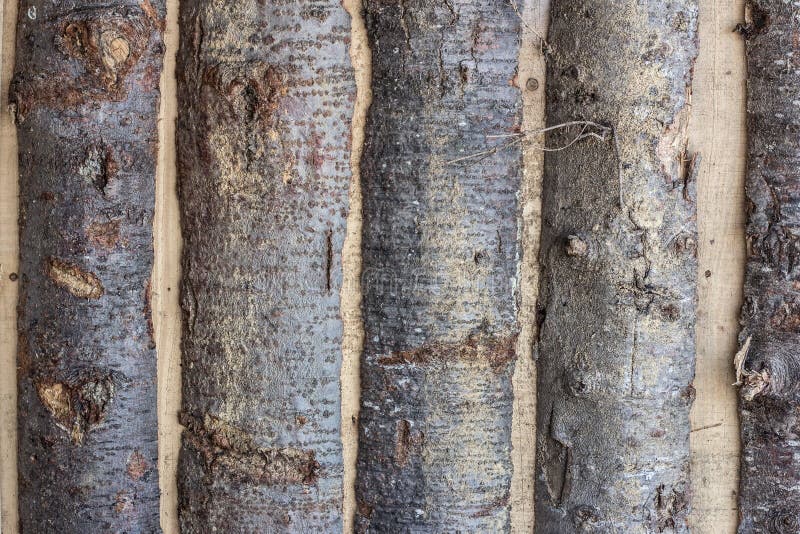 Wooden log background stock photo. Image of backgrounds - 89196190