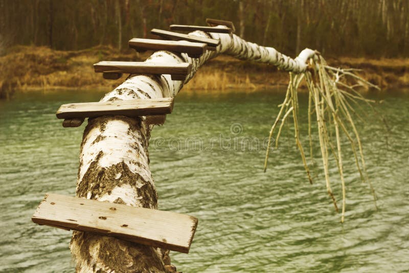 Wooden Log Bridge Over Forest River Stock Photo - Image of beam ...