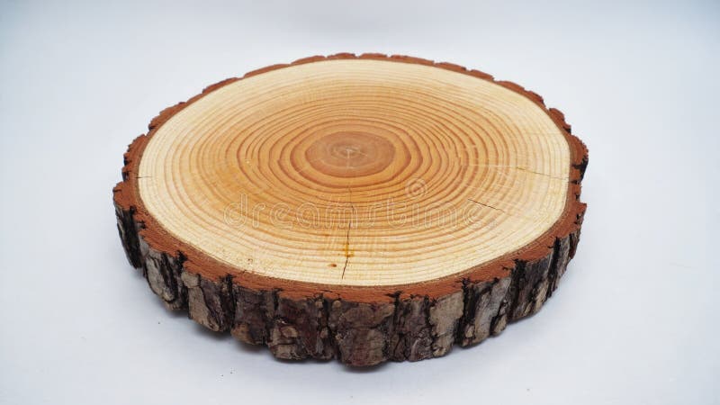 A Wooden Log with a Brownish Color and a Light Brownish Color Stock ...