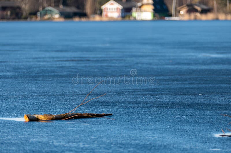 Wooden Log Floating in the Sea Stock Image - Image of vessel, yacht ...