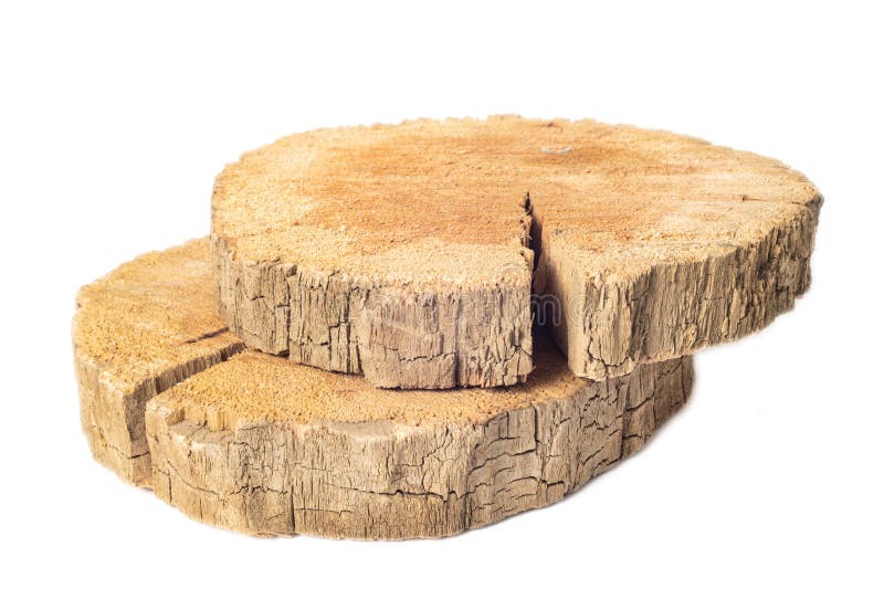 Wooden Log Rings. Close-up on a White Background Stock Photo - Image of ...