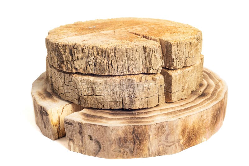 Wooden Log Rings. Close-up on a White Background Stock Image - Image of ...