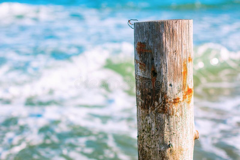 Log of old harbour stock image. Image of ocean, landscape - 167996089