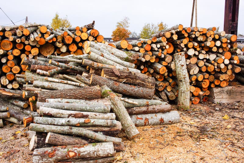 Wooden log storage place stock image. Image of rural - 48471619