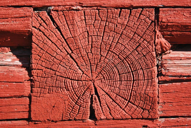 Wooden Log Texture stock photo. Image of ancient, wood - 40960268
